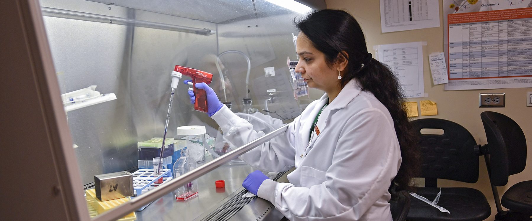 Home - Division of Research