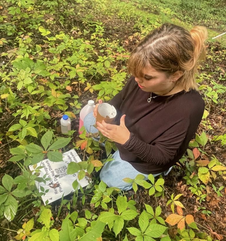 🕷️Exploring Spider Biodiversity Across Ground Covers at the UNC ...